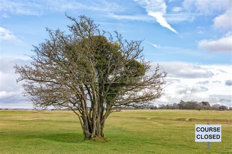 Image result for Golf Course Closing