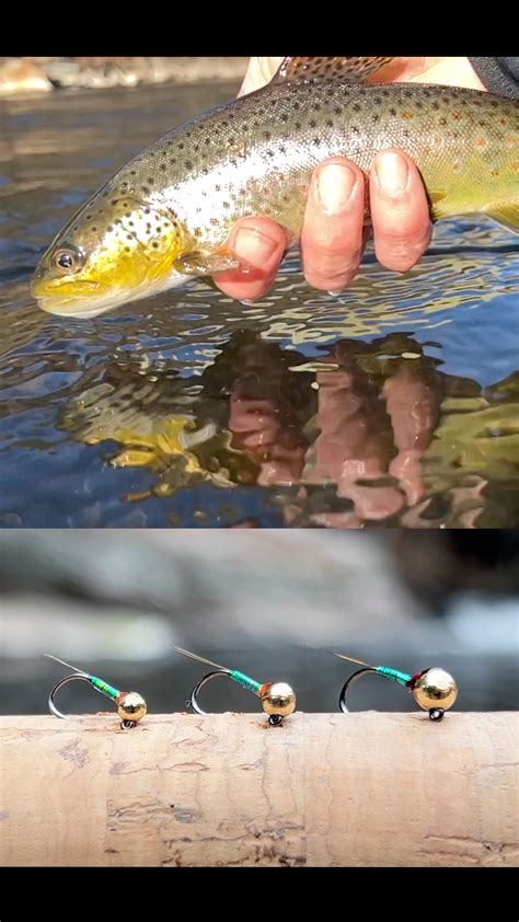 Image result for Pleava Perdigon Fly Pattern