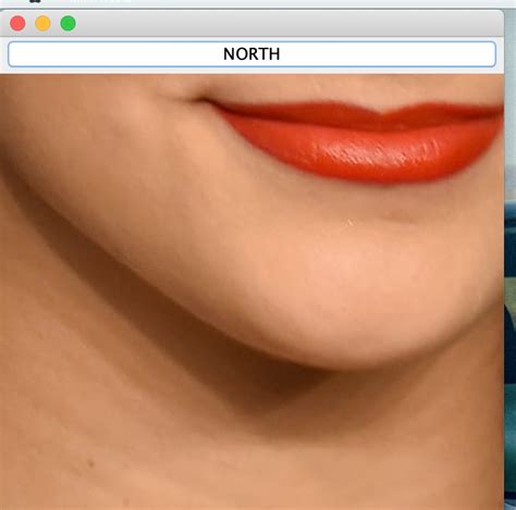 Image result for J Frame Java Paint