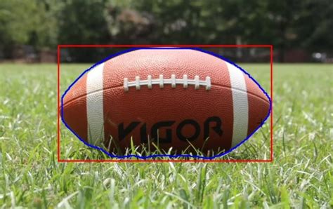 Image result for Segmentasi Python Using Yolo