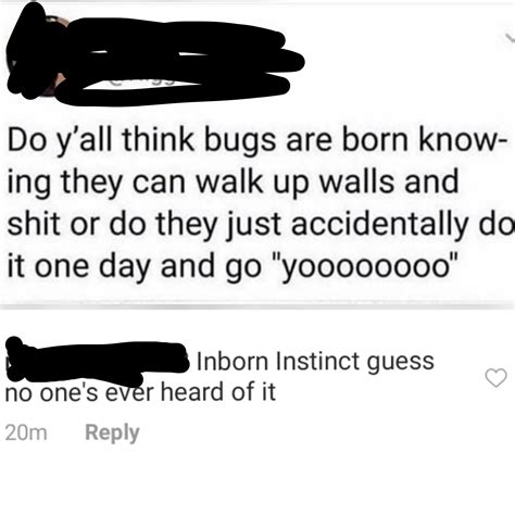 Image result for First Posts of Reddit