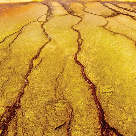 Image result for Microbial Ecology