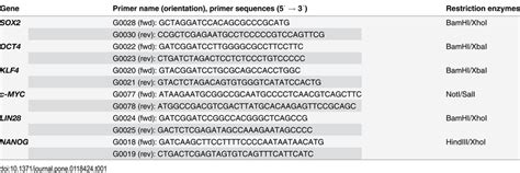 Image result for Reprogramming Factors