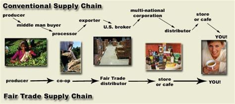 Commodity Chain and Coffee Prices - Kencaf Importing & Distributing Inc ...