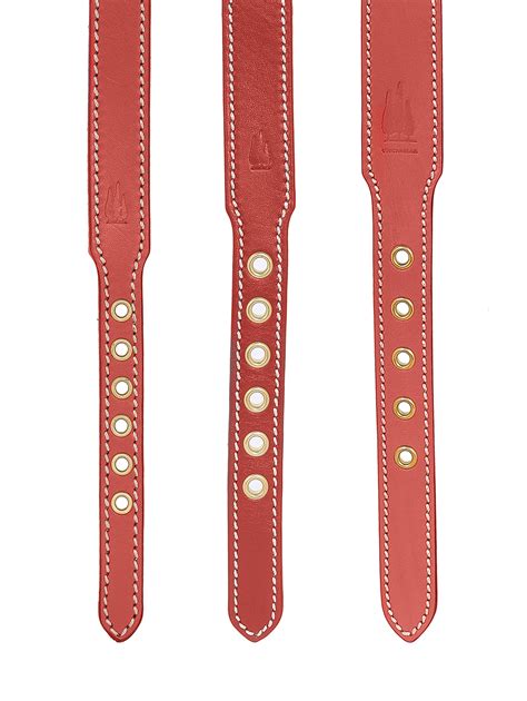 Image result for Red Cavapoo Dog Collar