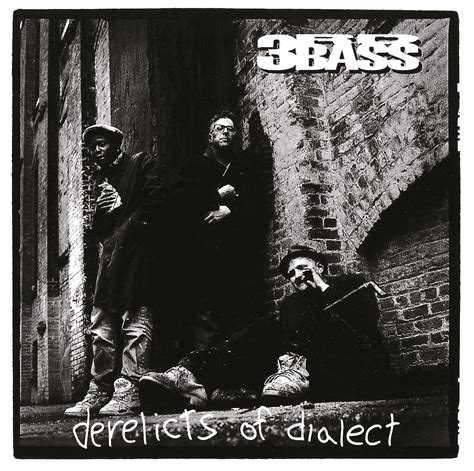 Image result for 3rd Bass Interview