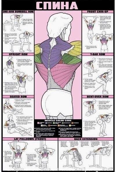 Image result for Bisect Workouts