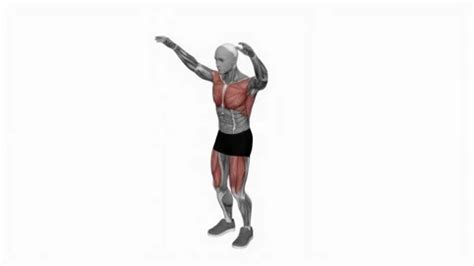 Image result for Highlight Animation