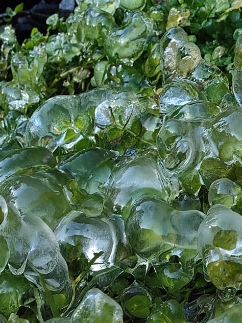 Image result for How Is Ice Formed