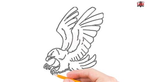 Image result for Hawk Drawing Easy Simple