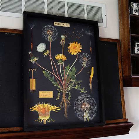 Image result for Build Your Own Poster Frame