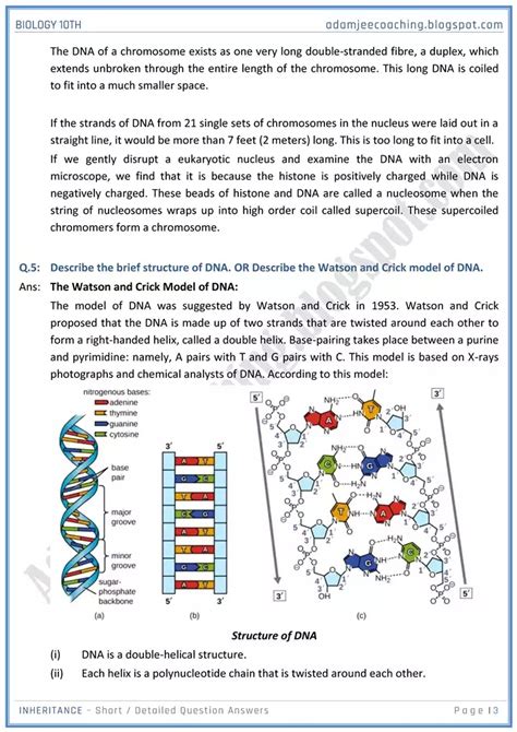 Image result for Inheritance Questions and Answers