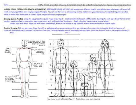 Image result for Proportion Drawing