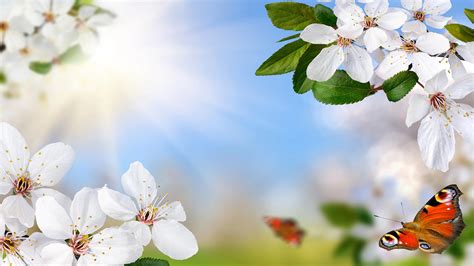 Image result for Springing into Spring