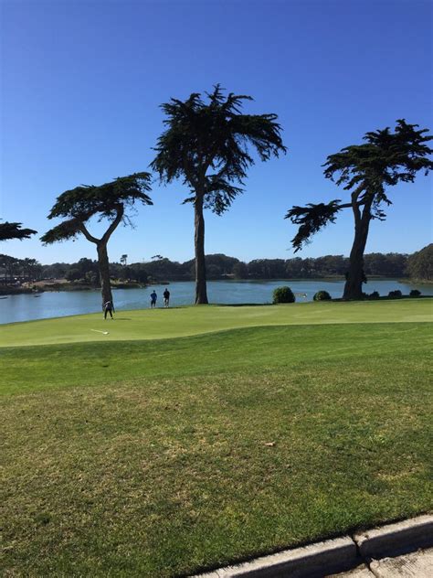 Image result for TPC Harding Park Golf Course