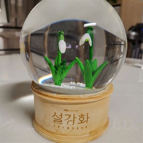 Image result for Snowdrop BTS