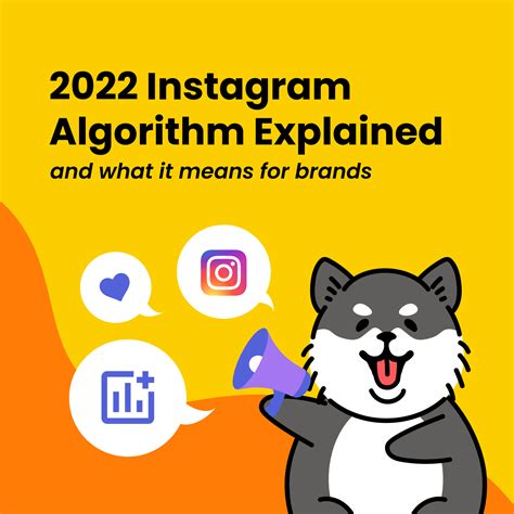 Image result for Instagram Algorithm Explained