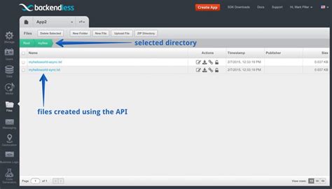Image result for How Files Are Send through API