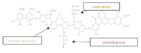 Image result for Humic Acid Structure