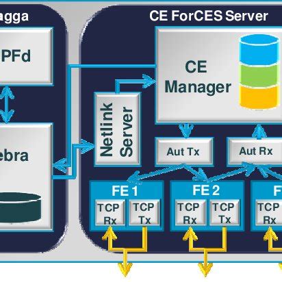 Image result for Distal Control Elements