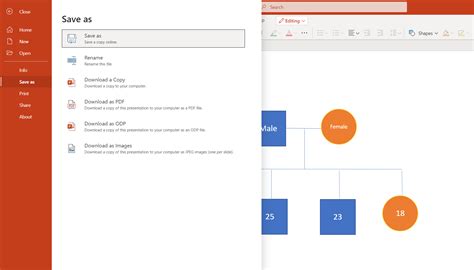 Image result for Genogram Template PowerPoint