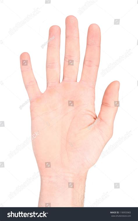 Image result for Five Sign Language