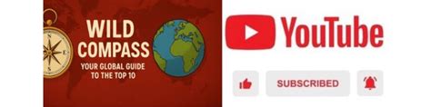 Image result for Compass YouTuber