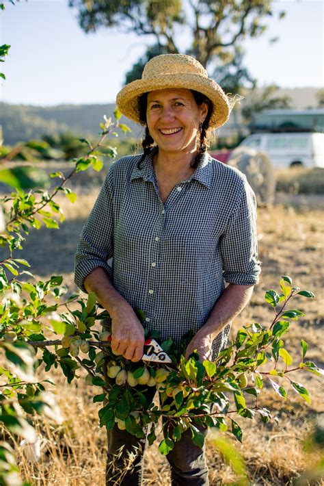 Image result for Pruning Fruit Trees Spring