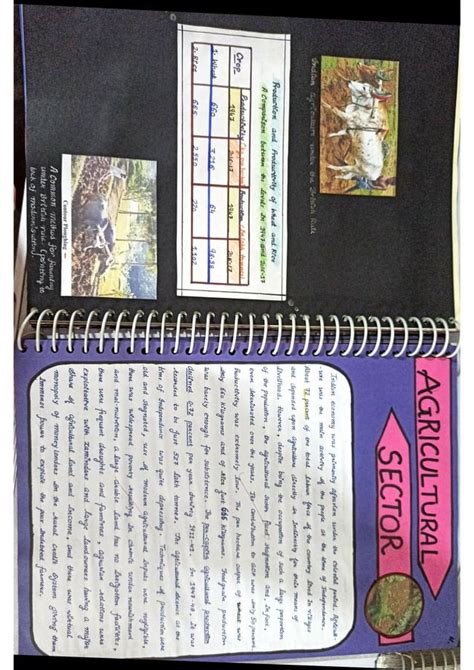 Image result for Class 12th Indian Economic Development Mind Map