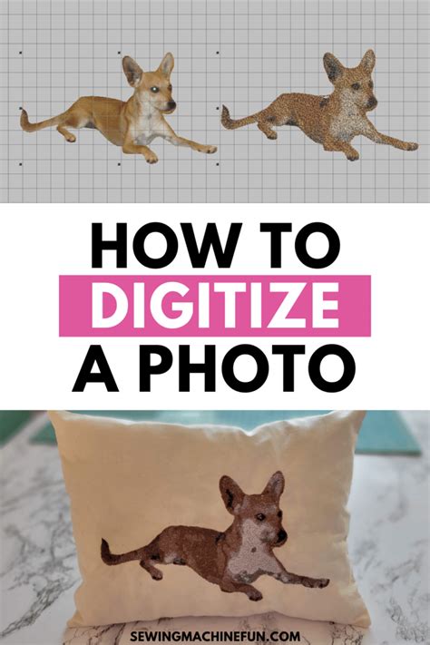 Image result for Digitize N Stitch Tutorial