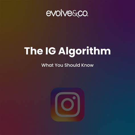 Image result for How to Not Confuse the IG Algorithm Image