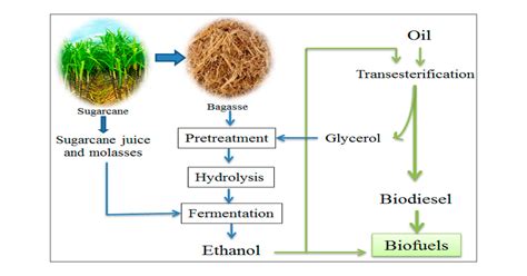 Image result for Bioethanol From Sugar Processing