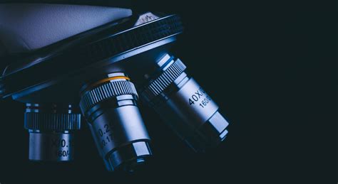 Image result for 3D Scan Medical