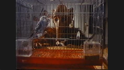 Image result for Alien Pod People