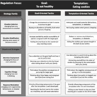Image result for Process Model of Self-Control