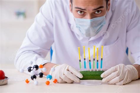 Image result for Human Body Food Lab