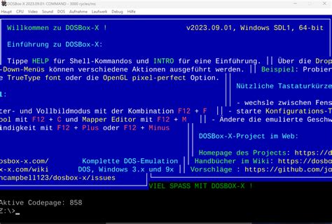 Image result for DOSBox Help