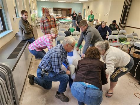 Image result for Cert Program