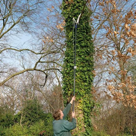 Image result for Tree Lopper Lift
