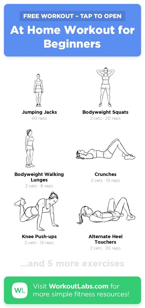 Image result for Daily Exercise for Beginners