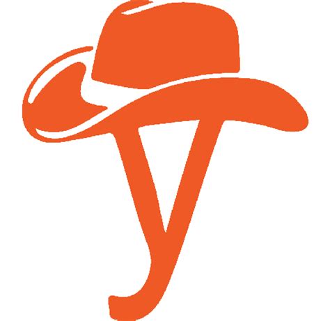 Image result for Rodeo Python IDE