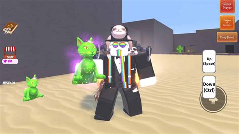 Image result for Roblox Wacky Wizards How to Get Pool