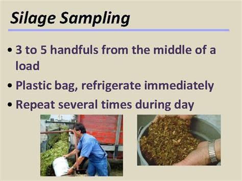 Image result for Sampling Feed