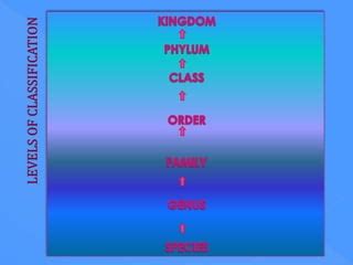 Image result for AronRa Systematic Classification System