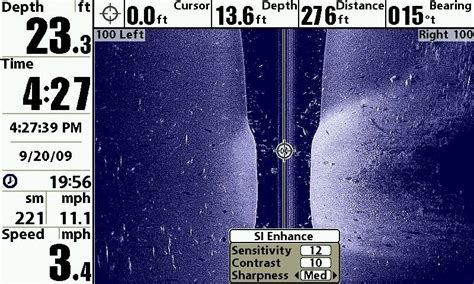 Image result for Humminbird Semi Colon