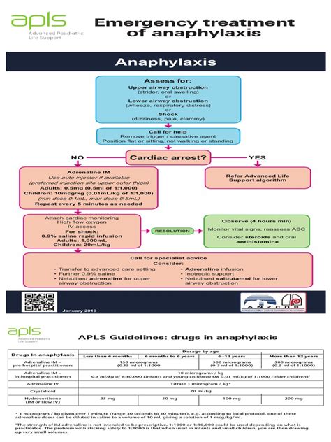 Image result for Anaphylaxis Treatment Algorithm