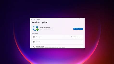 Image result for Check for Updates and Install