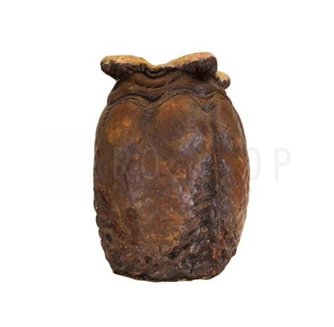 Image result for Alien Predator Egg