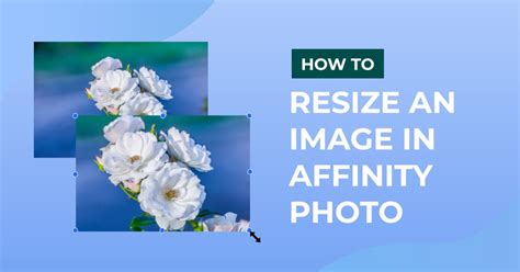 Image result for Sizing for Printing Affinity Design