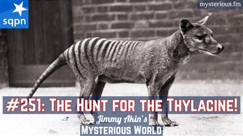 The Hunt for the Thylacine (Tasmanian Tigers, Tasmanian Wolves, Cryptids)